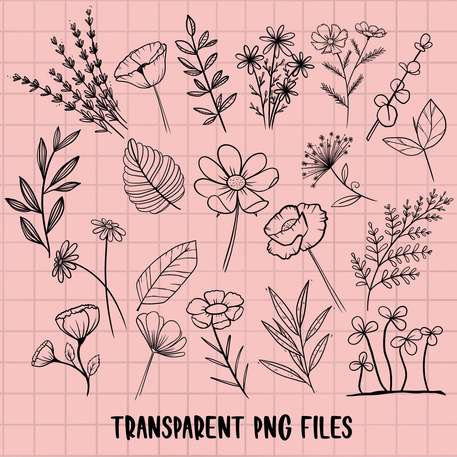 Floral Hand Draw Clipart Set - Black and White Flower / Floral Line Art ...