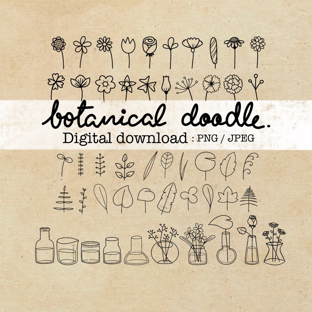 Botanical Hand Draw Clipart / Flower - Floral - Leaves Doodle / Flower ...