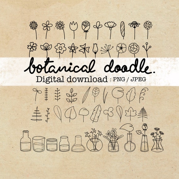 Botanical Hand Draw Clipart / Flower Floral Leaves Doodle | Etsy