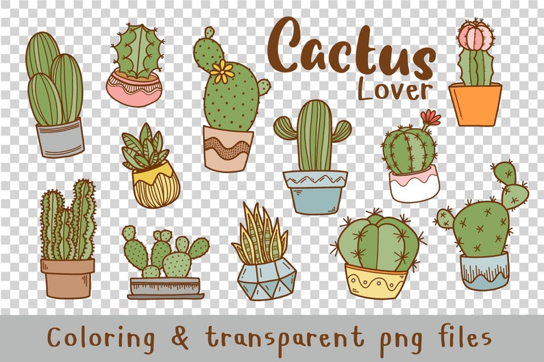 Doodle Cactus Cliparts Succulent Clipart Set House Plants - Etsy