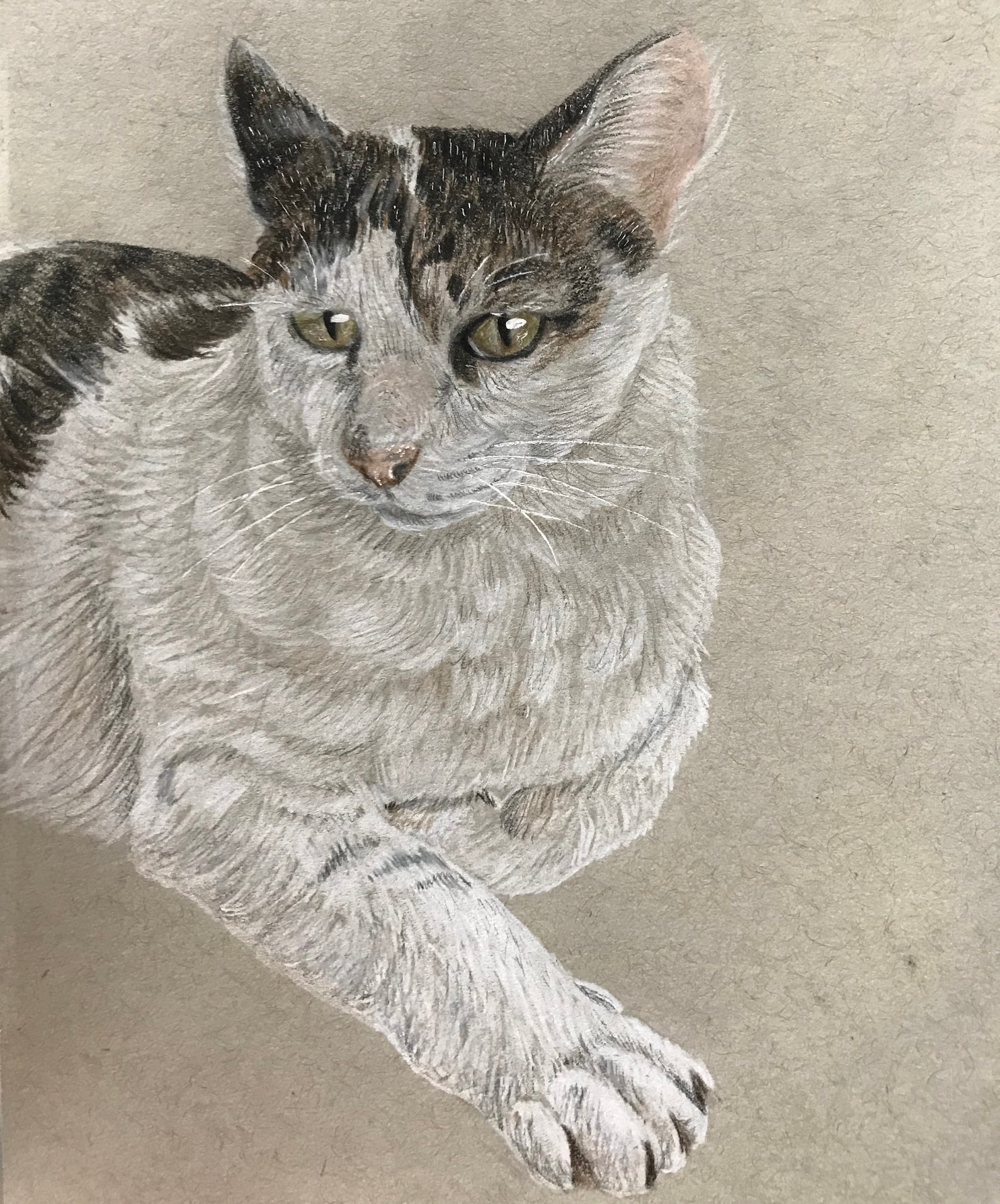 Custom Hyper-realistic Animal Drawings - Etsy