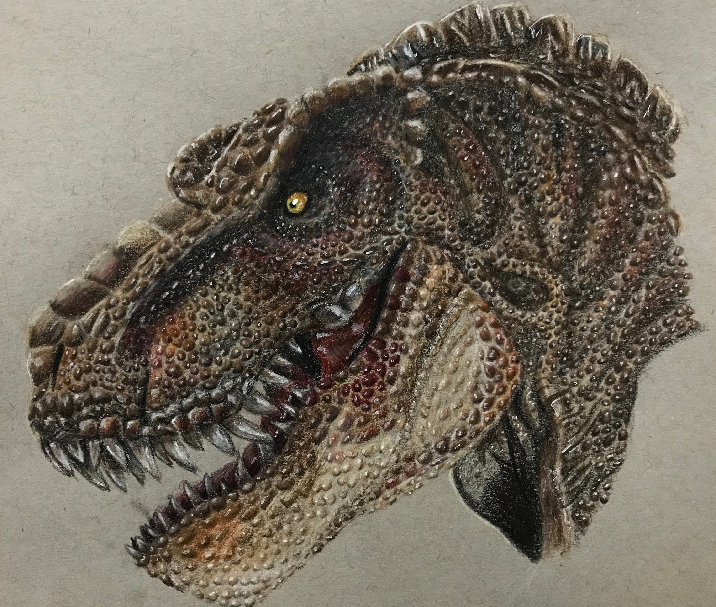 Custom Hyper-realistic Animal Drawings - Etsy