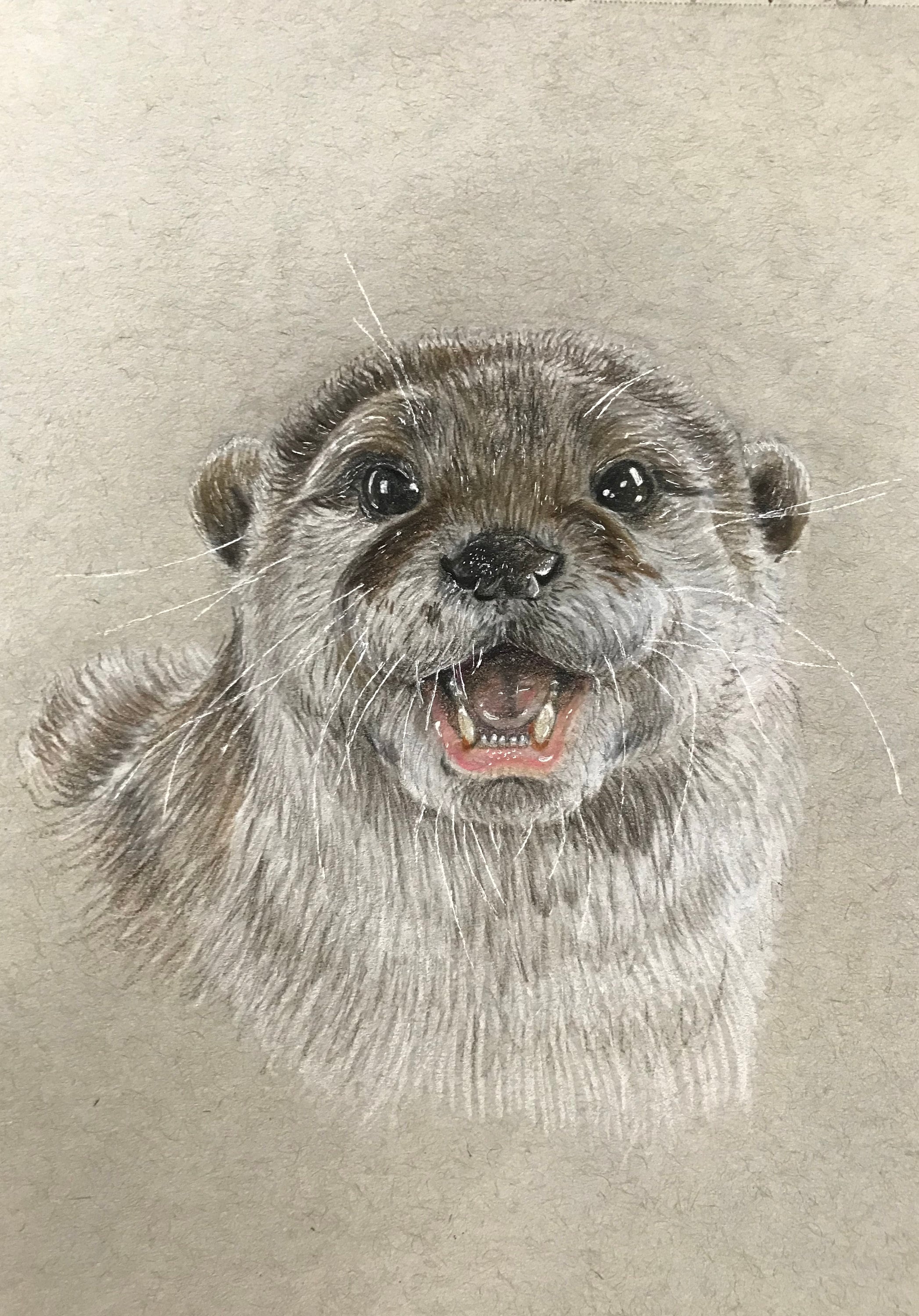 Custom Hyper-realistic Animal Drawings - Etsy