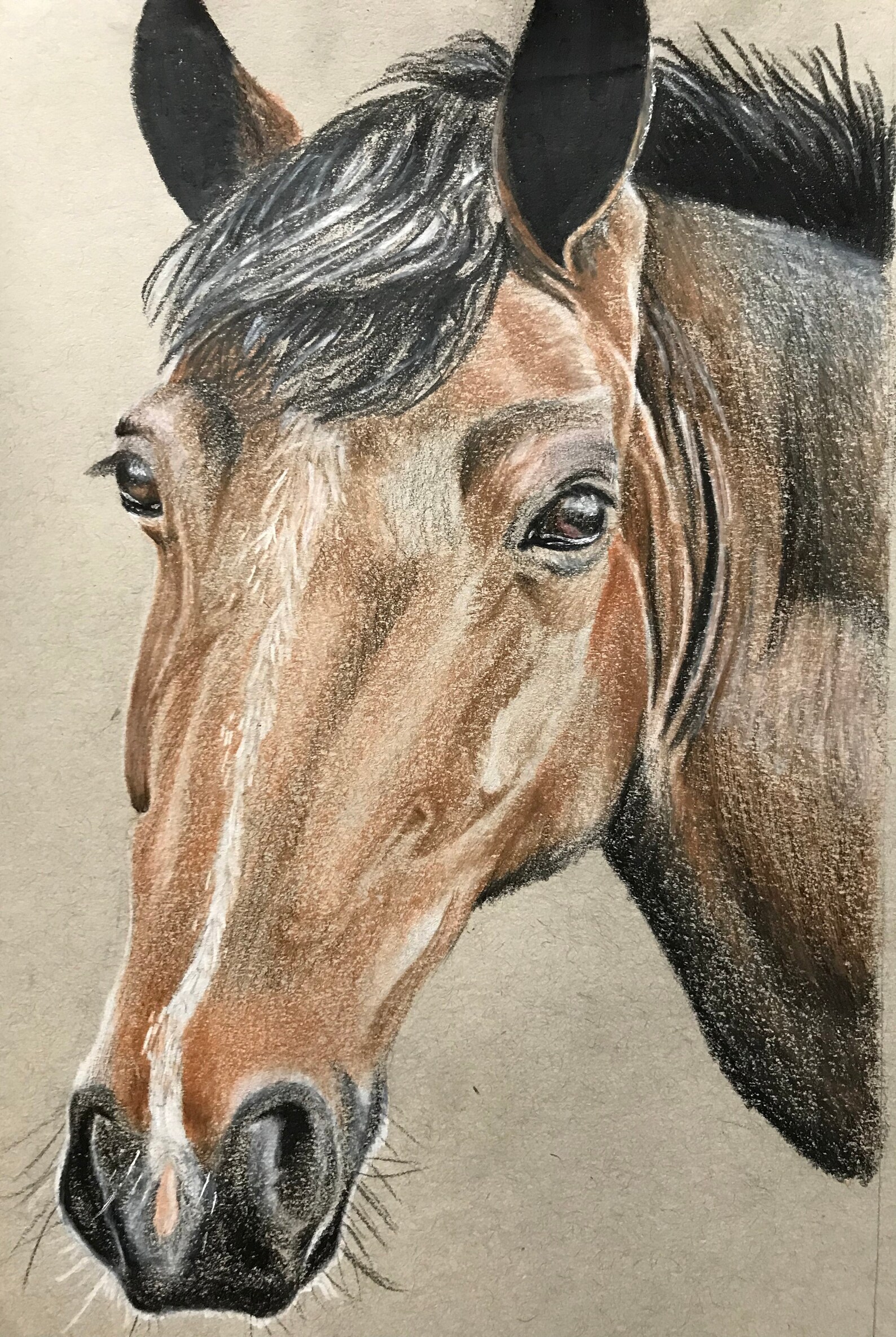 Custom Hyper-realistic Animal Drawings - Etsy