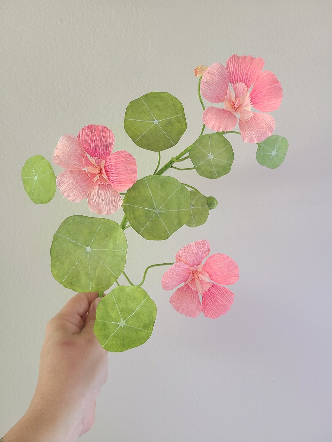 Nasturtium, Paper Flower, Crepe Paper, Paper Botanicals, Fauxe ...
