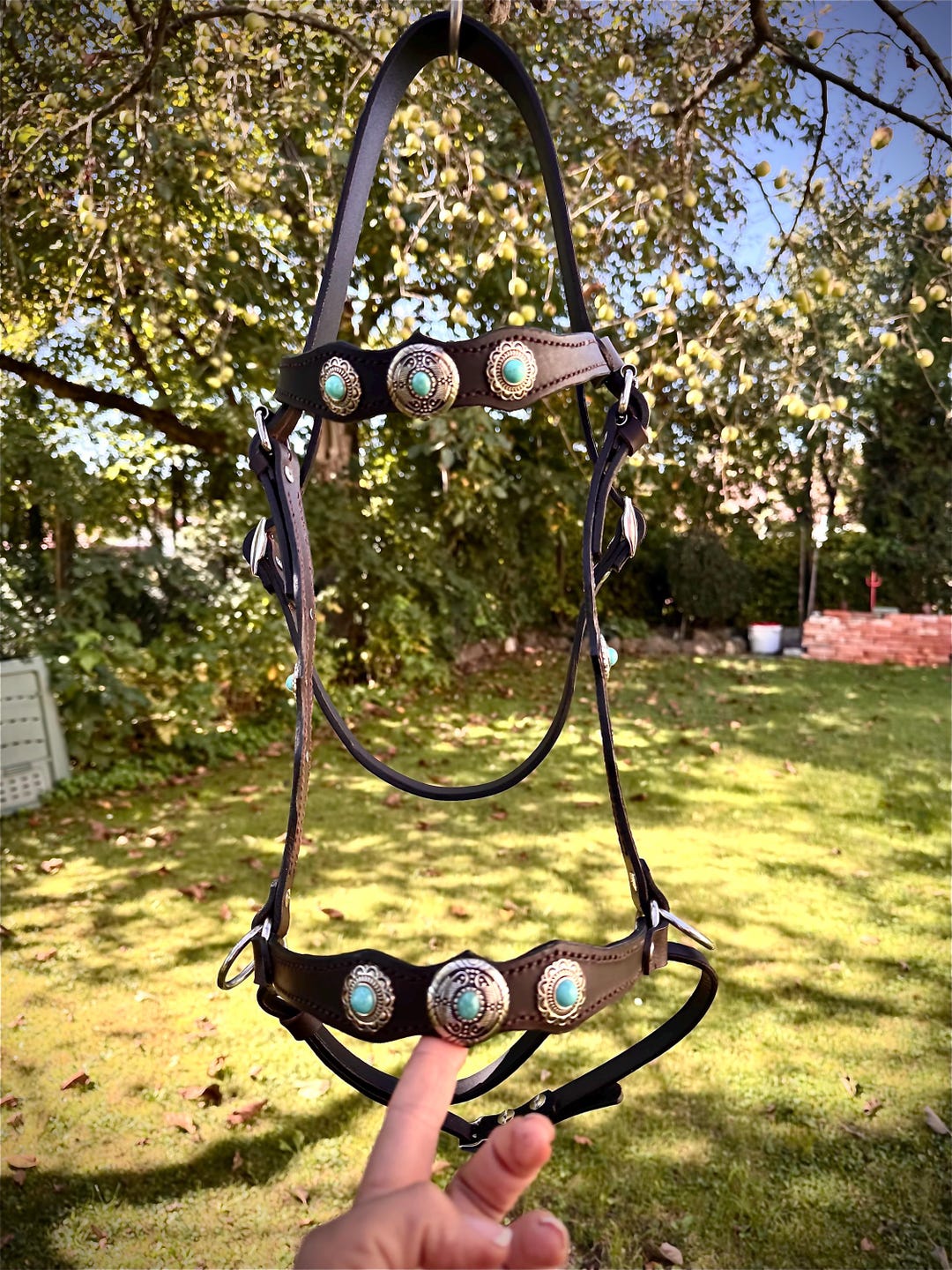 Sidepull / Bitless Bridle Leather - Etsy