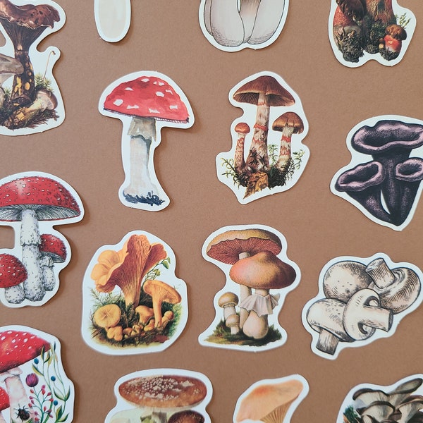 Nature Stickers - Etsy