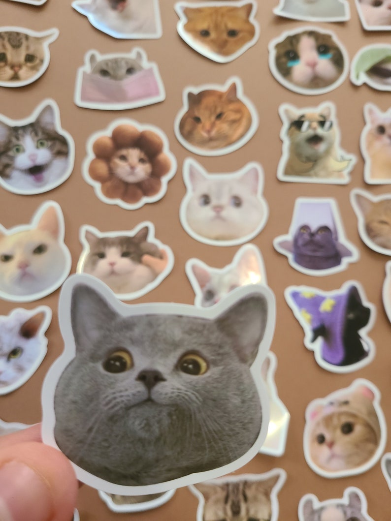 50 Stickers Cat Meme Funny Internet Gif Vinyl/waterproof - Etsy