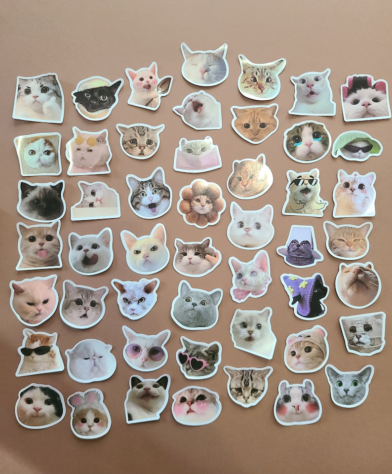 50 Stickers Cat Meme Funny Internet Gif Vinyl/waterproof - Etsy