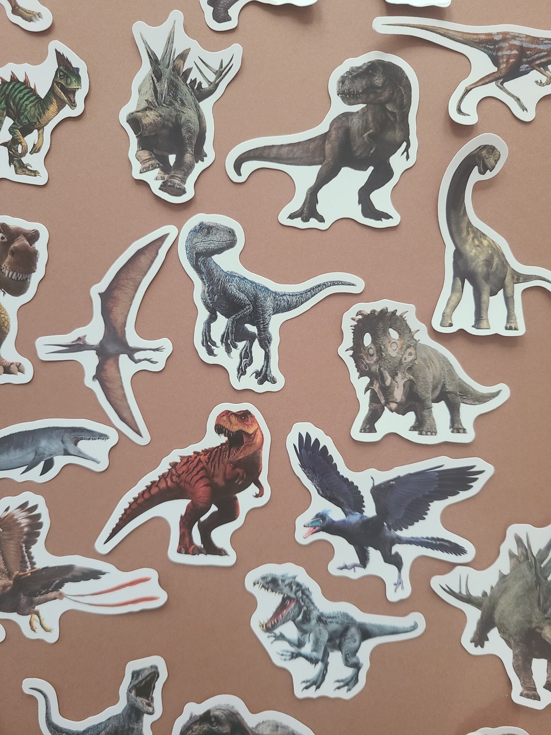 50 Dinosaur Stickers Kids T Rex Diplodocus Triceratops - Etsy