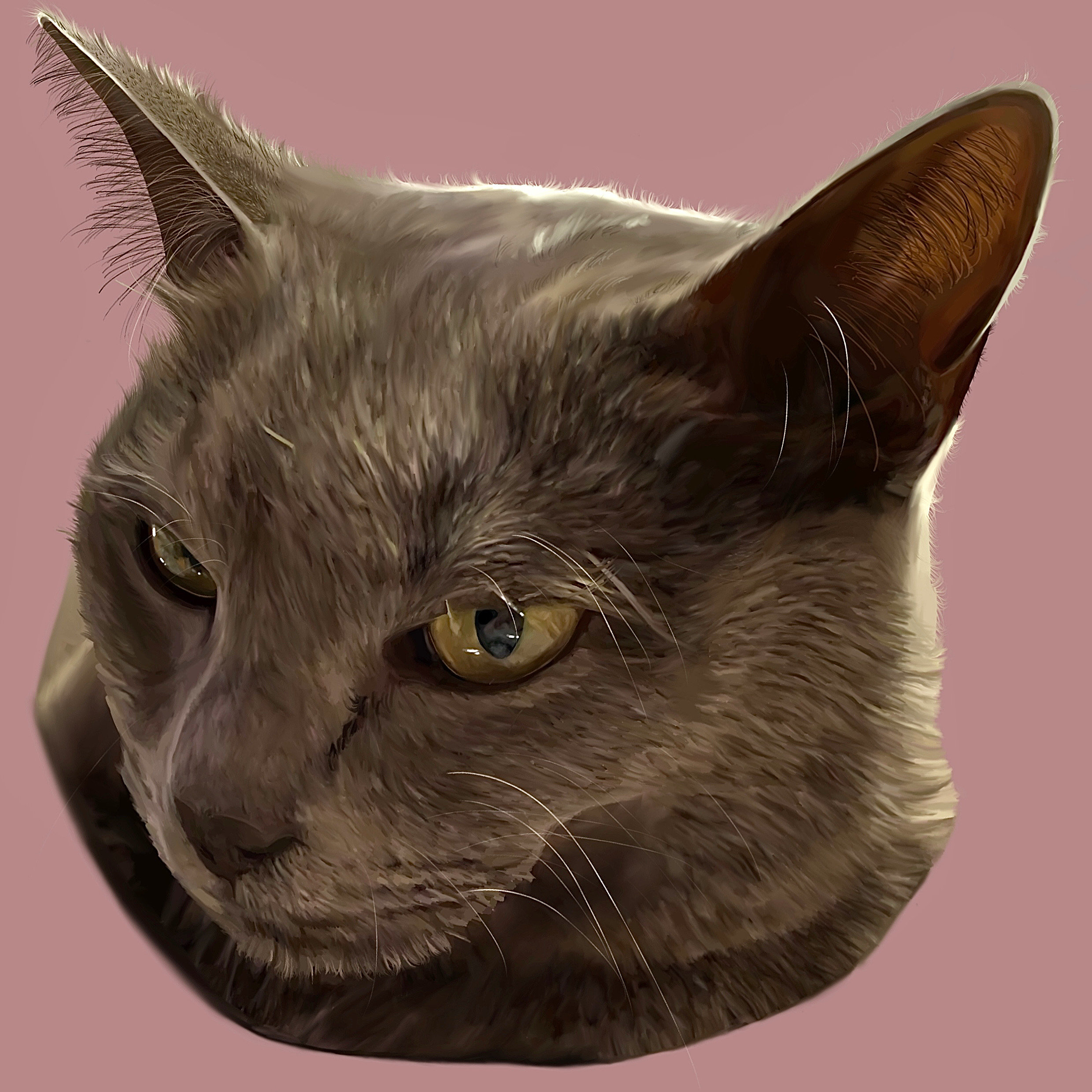 Digital Art, Digital Pet Portrait, Custom Digital Art, Digit Designs - Etsy