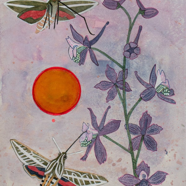 Hummingbird Moth - Etsy