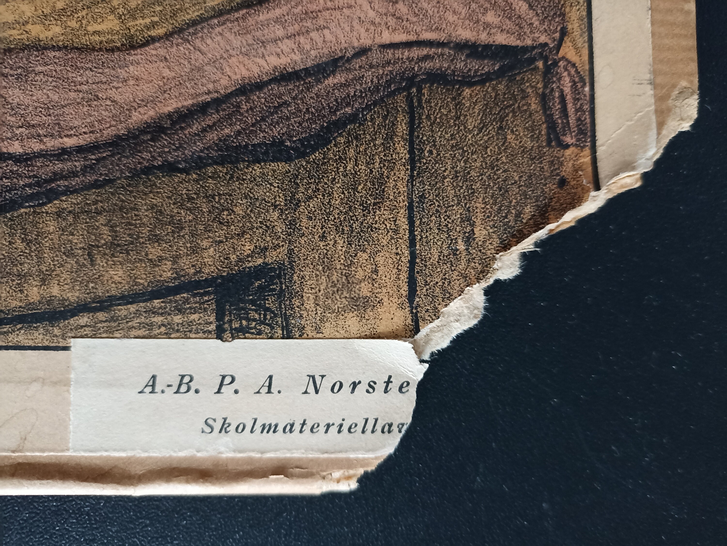 Antieke 1913 Deense Grote poster lithografie Door Paul - Etsy Nederland