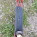 Rare Germany DOBLINA Kick Scooter DDR Tretroller - Roller ...