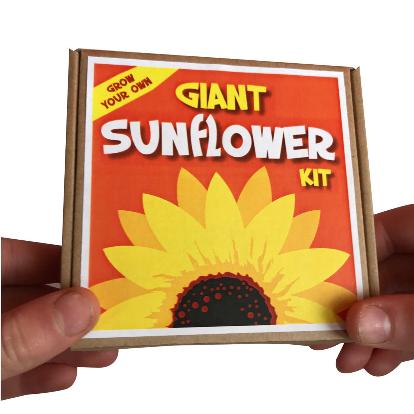 Grow Your Own Sunflower Plant Kit. Perfect for kids Mothers | Etsy