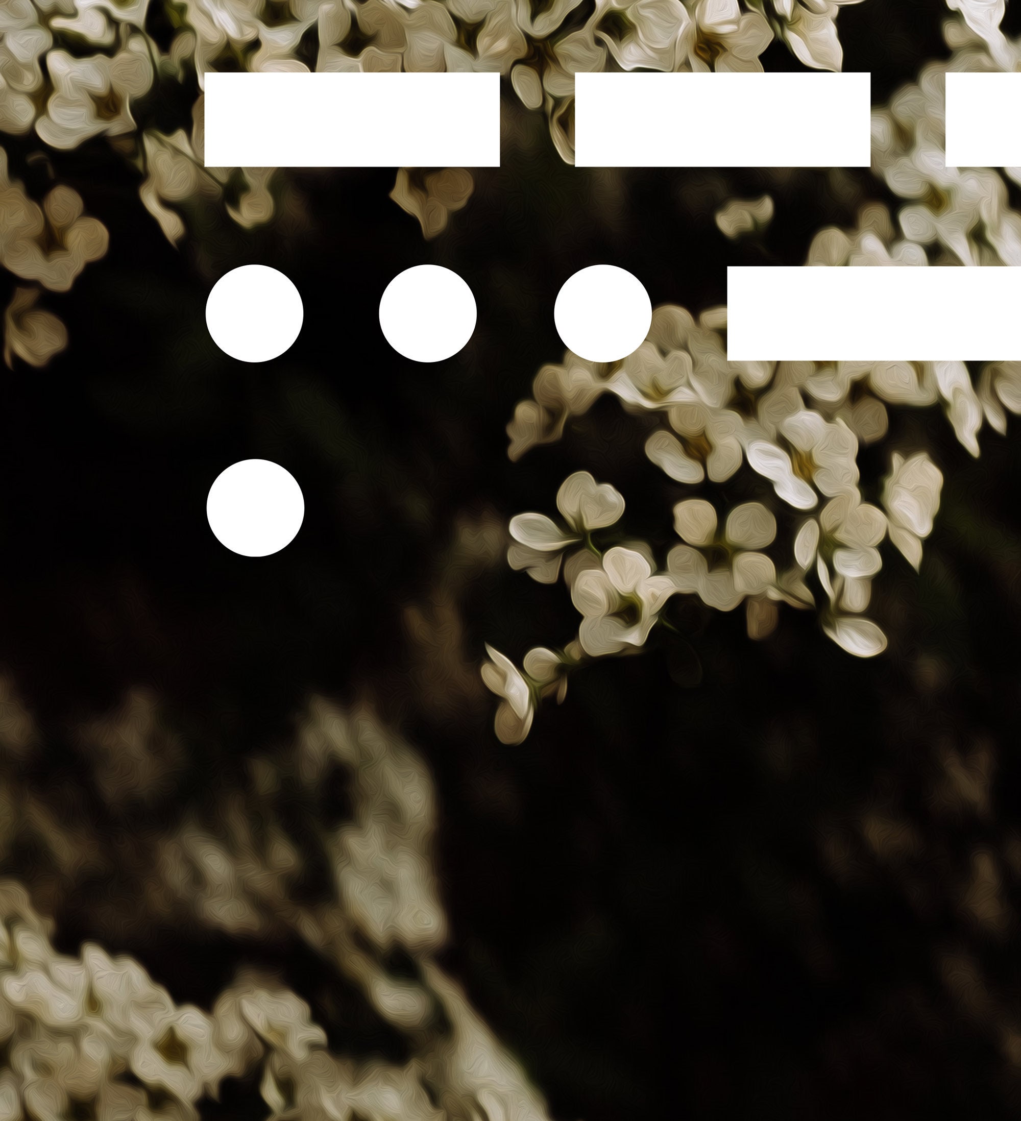 Fine Art Print With love in Morse Code Flowers - Etsy UK