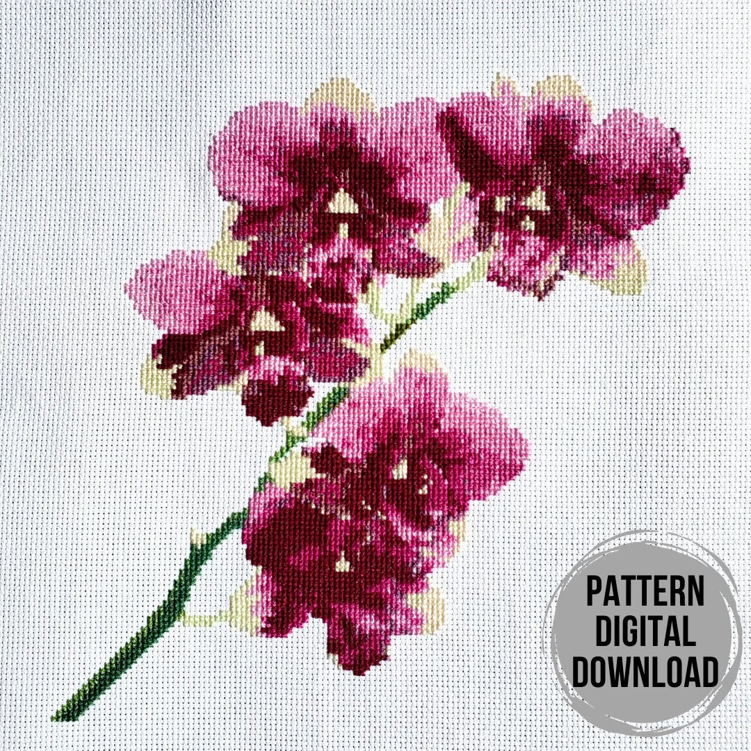 Orchid Flowers Cross-stitch Pattern - Etsy