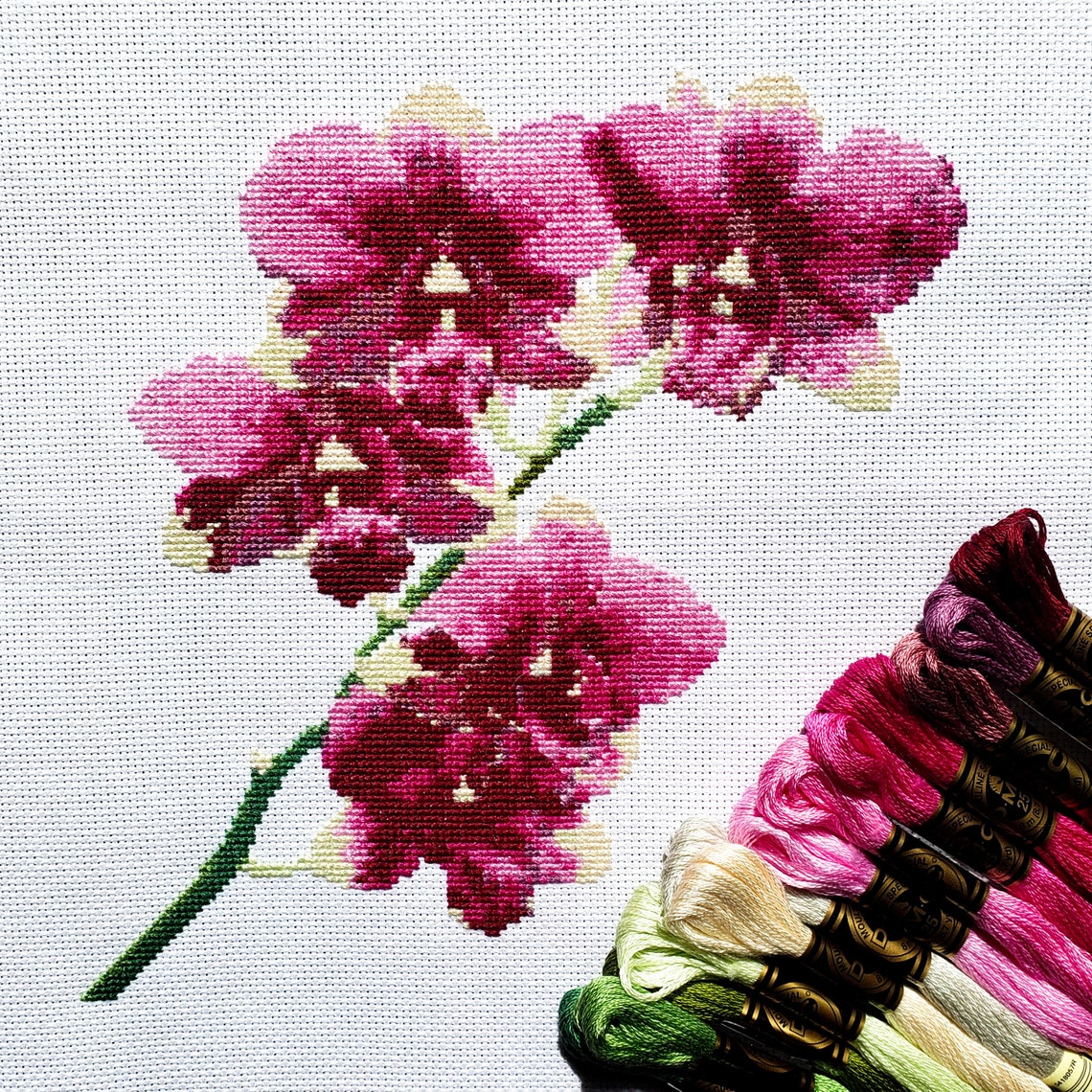 Orchid Flowers Cross-stitch Pattern - Etsy