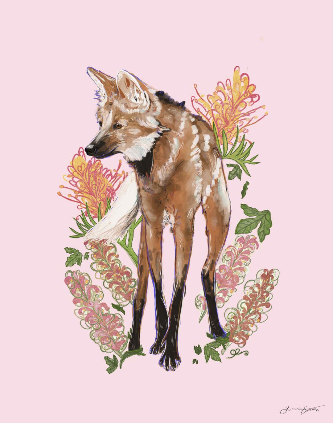 Fine Art Print "maned" / Maned Wolf Giclée Art / Canine Print Decor - Etsy