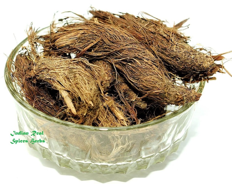 Spikenard Muskroot, Jatamansi, 100% Pure and Natural Spikenard Muskroot ...