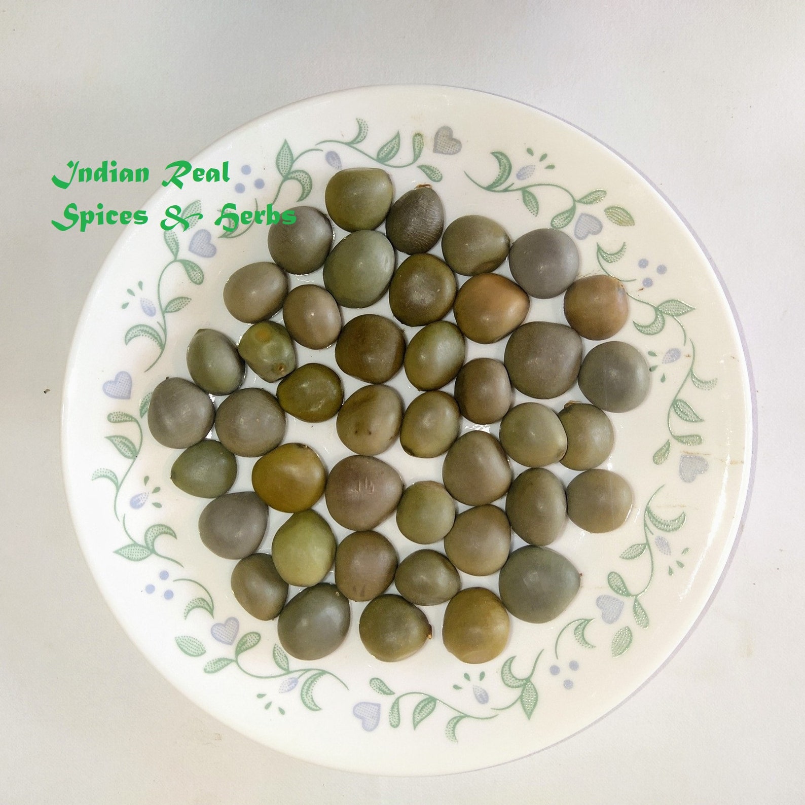 Karanja Fever Nut 100% REAL AYURVEDIC Pure & NATURAL Worldwide - Etsy