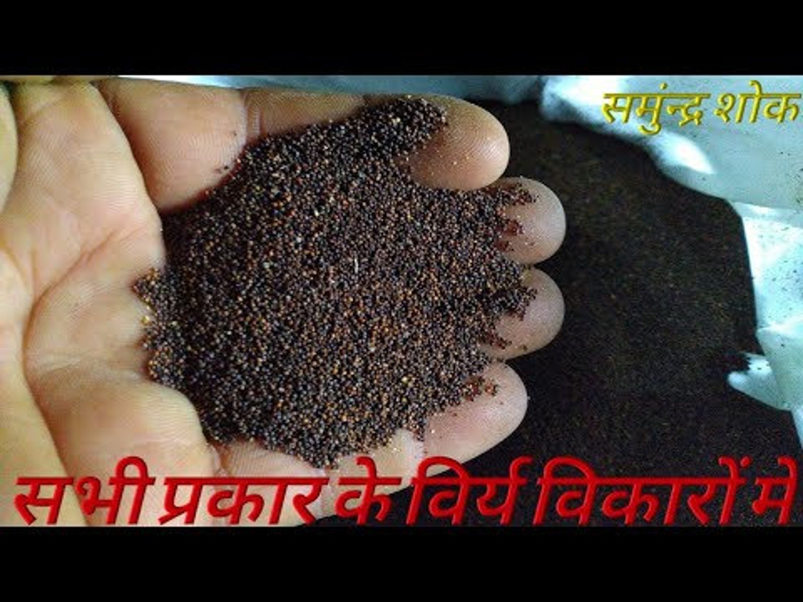 Samandar Shokh, 100% Pure and Natural Samandar Shokh, Worldwide ...