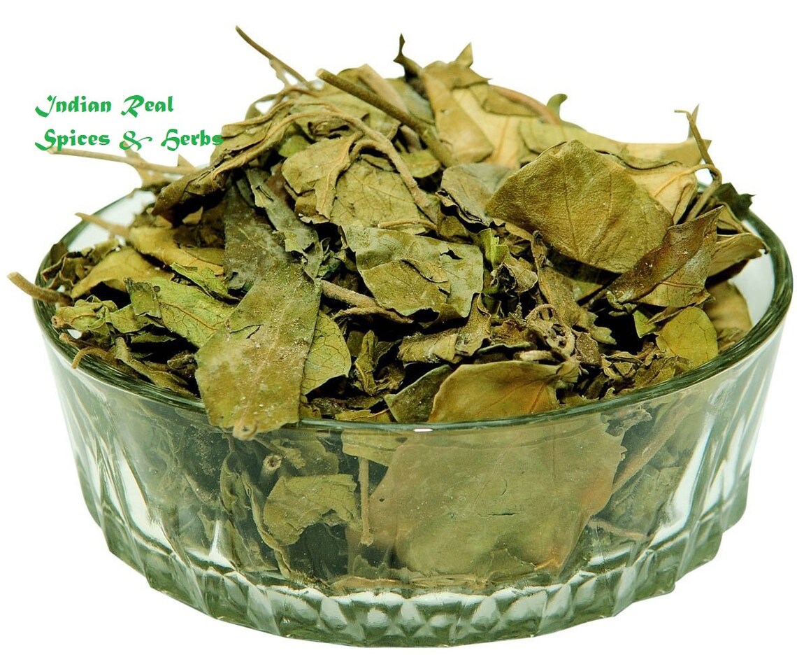Gymnema Sylvestre Gudmar Leaves 100% REAL AYURVEDIC Pure & NATURAL ...