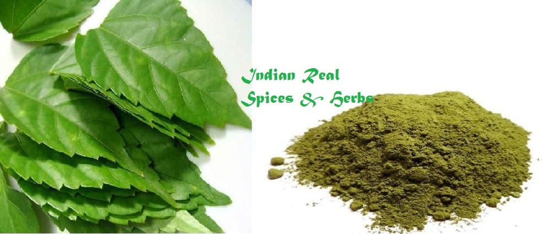 Hibiscus Gudhal Leaves Powder 100% REAL AYURVEDIC Pure & NATURAL ...