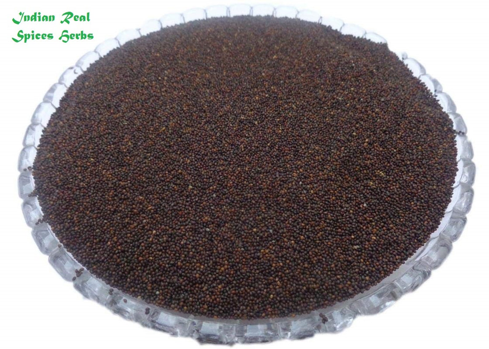 Samandar Shokh, 100% Pure and Natural Samandar Shokh, Worldwide ...
