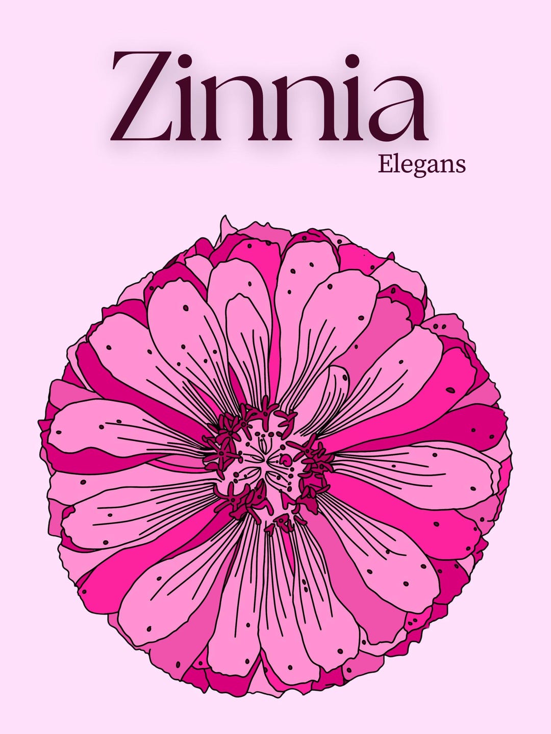 Zinnia Pink Poster Digital Print - Etsy
