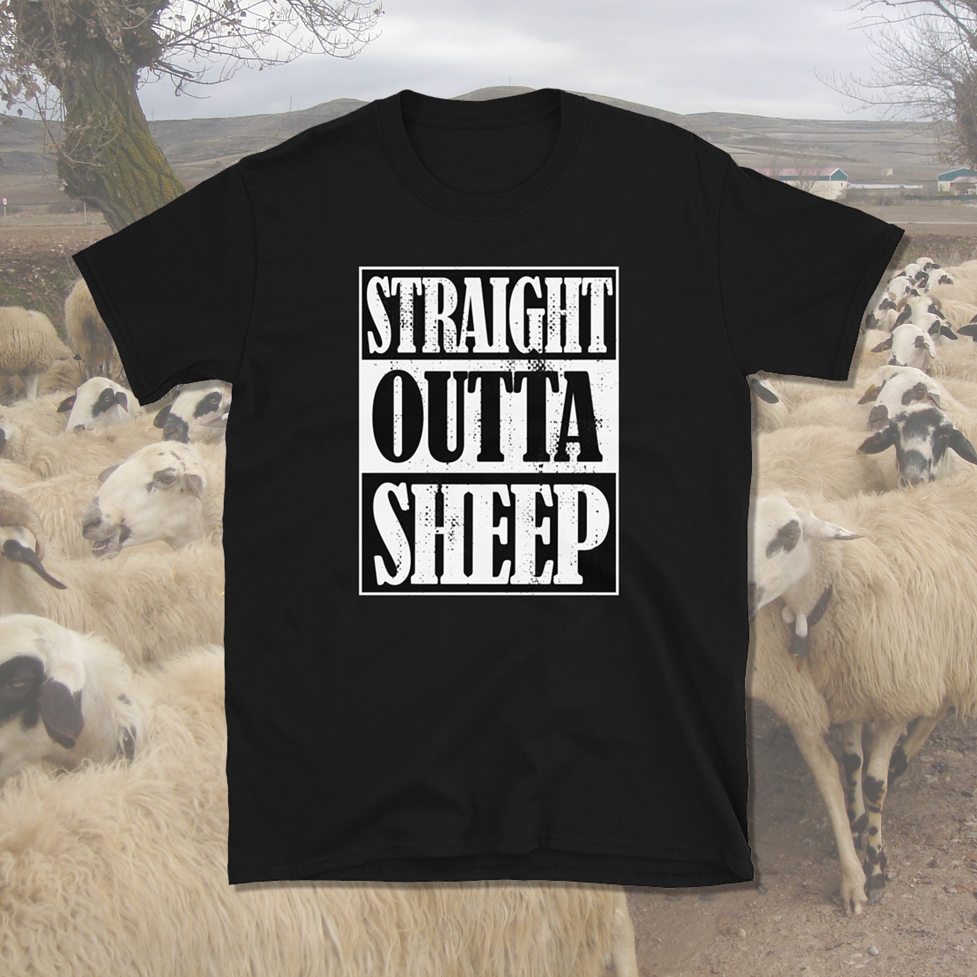 Straight Outta Sheep, Sheep Lover, Sheep Gift, Sheep Shirt ...