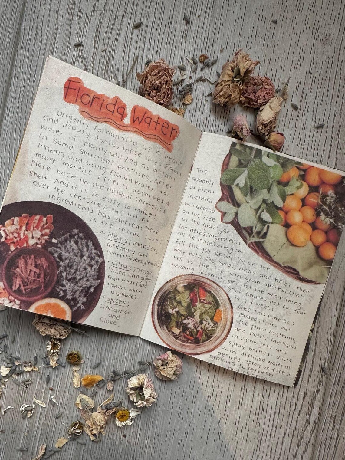 The Herbal Skin Care Zine Herbalism How to Plant Based Recipe Booklet ...