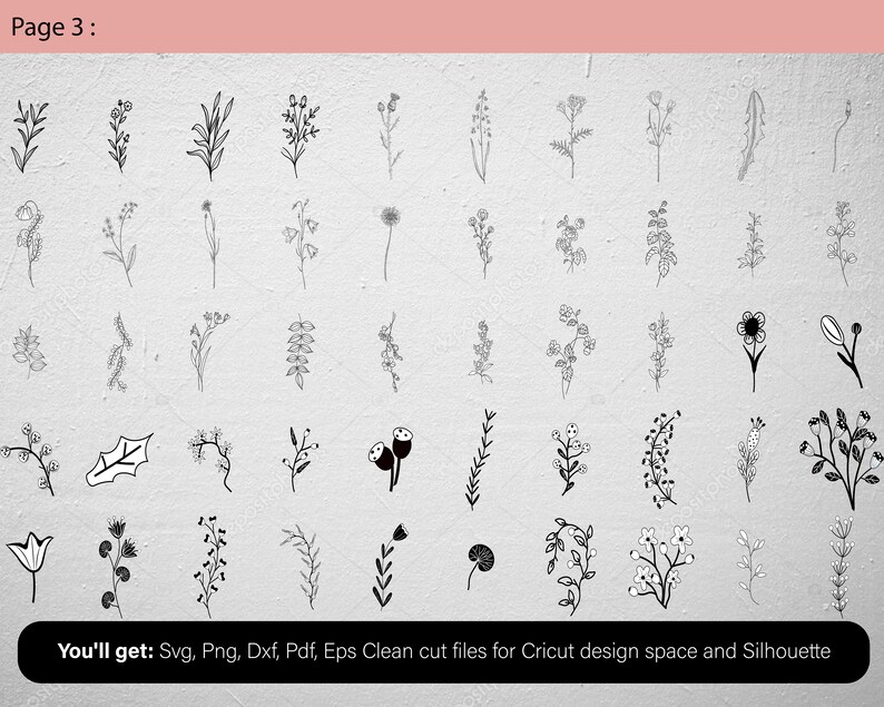 Botanical Svg Bundle Flower Svg Botanical Clipart Flower - Etsy