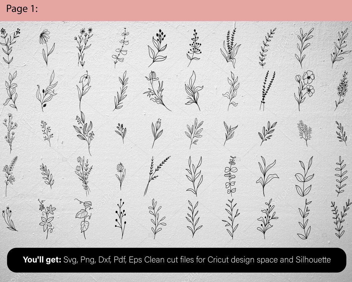 Botanical Svg Bundle Flower Svg Botanical Clipart Flower - Etsy