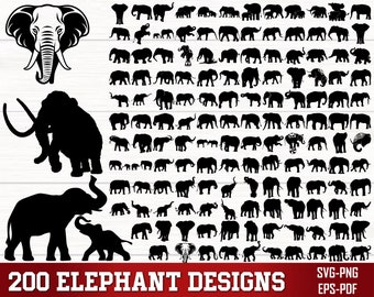 Floral Elephant Svg, Elephant Svg, Elephant Clipart, Elephant Shirt ...