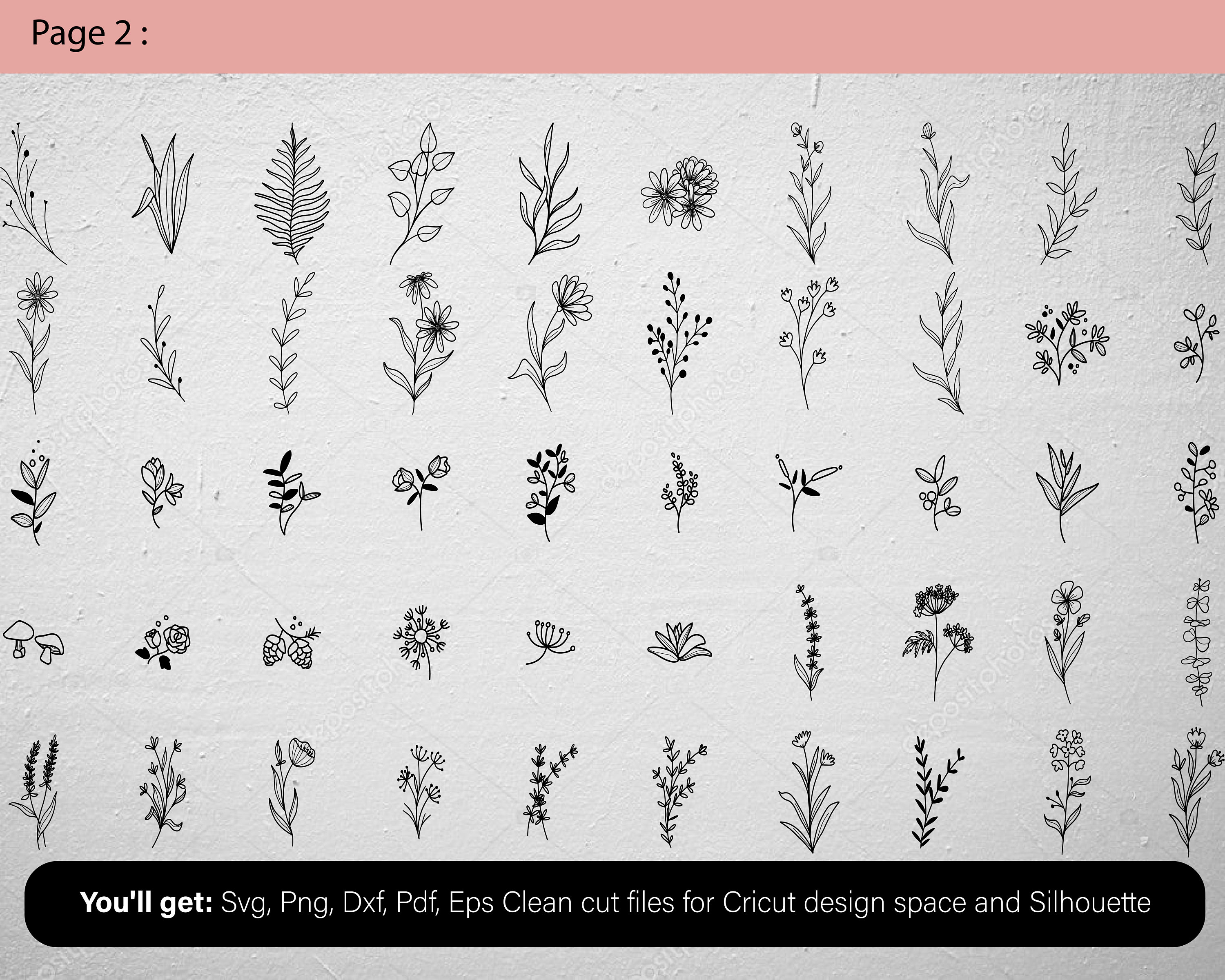 Botanical Svg Bundle | Flower Svg | Botanical Clipart | Flower Clipart ...