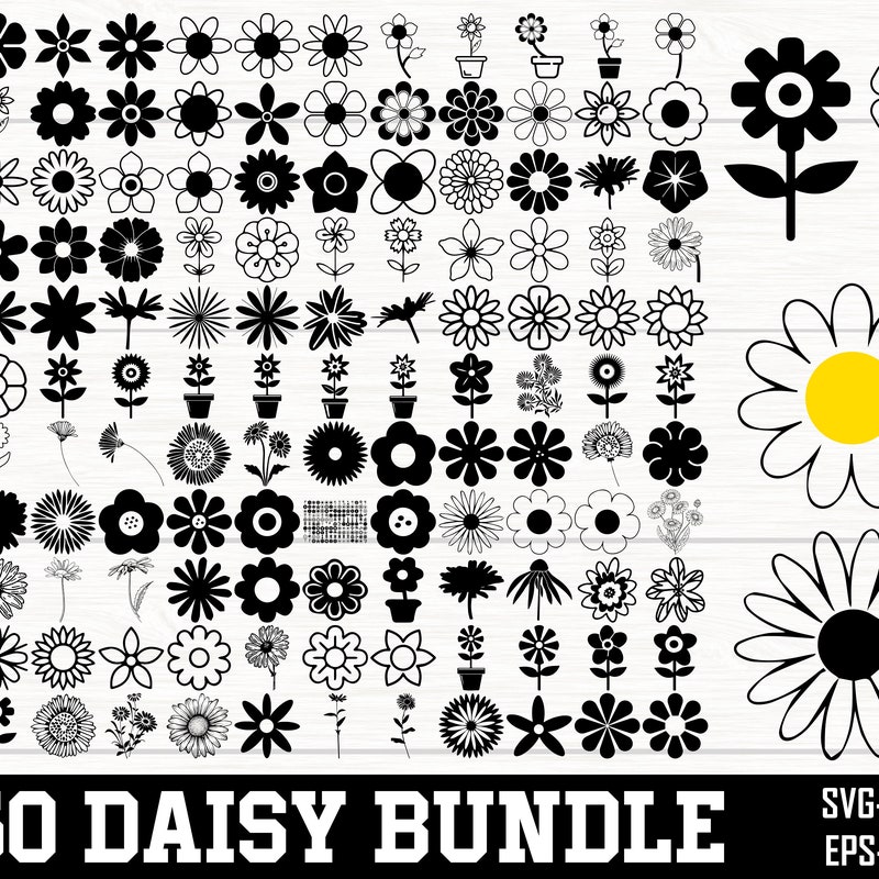 Daisy Svg - Etsy