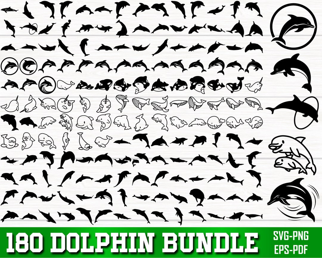 Dolphin Svg Bundle, Dolphin Png Bundle, Dolphin Clipart, Dolphin ...