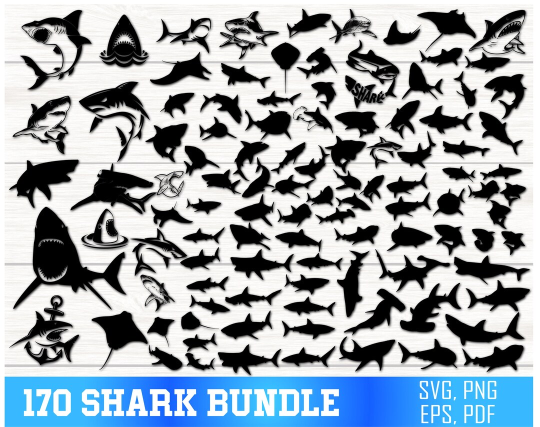 Shark Svg Bundle, Shark Png Bundle, Shark Clipart, Shark Silhouette ...