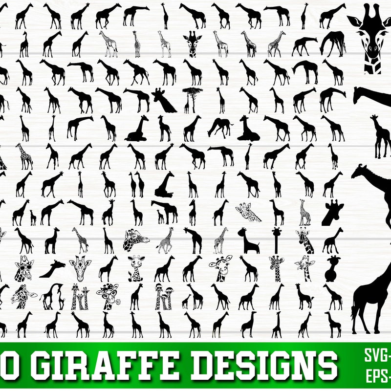 Giraffe Svg - Etsy