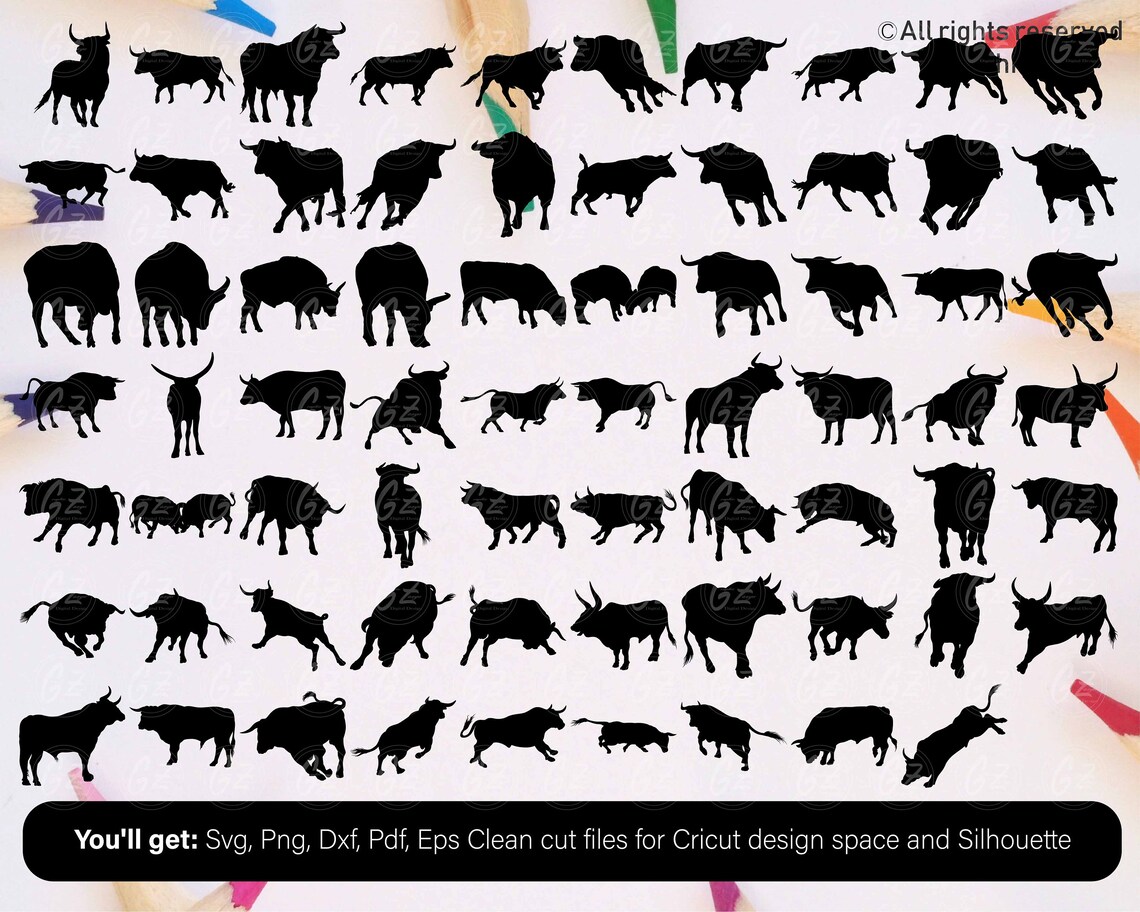 Bull SVG Bundle, Bull PNG Bundle, Bull Clipart, Bull Cut Files for ...
