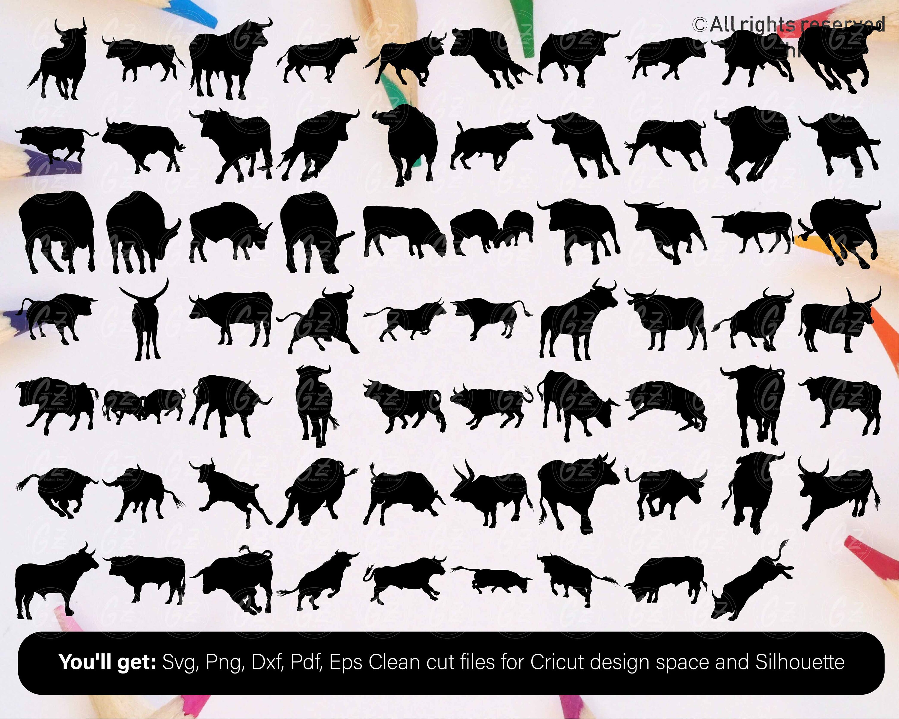 Bull SVG Bundle, Bull PNG Bundle, Bull Clipart, Bull Cut Files for ...