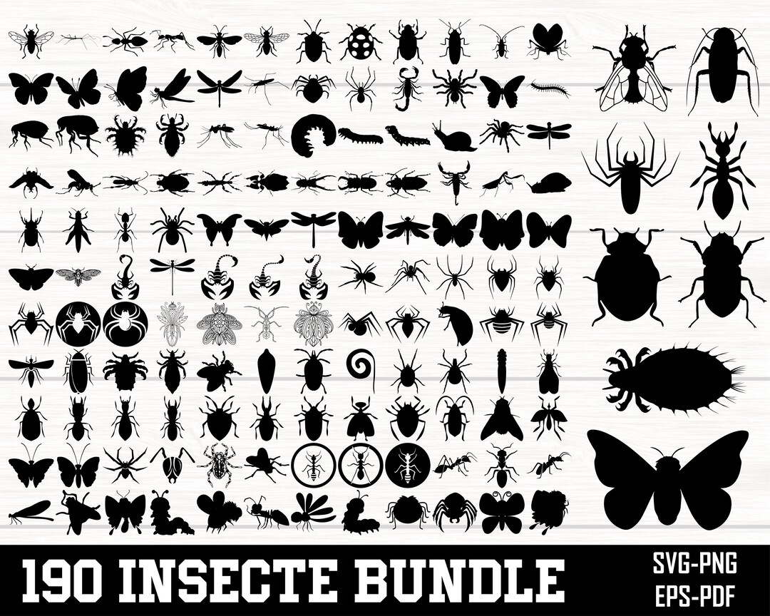 Paquete SVG de insectos, paquete PNG de insectos, imágenes prediseñadas ...