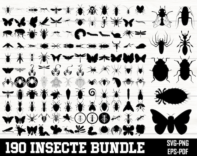 INSECT SVG, Butterfly Svg, Insect Clipart, Dragonfly Svg, Bug Svg ...