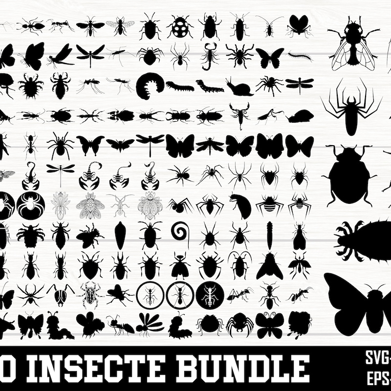 Insect Clipart - Etsy