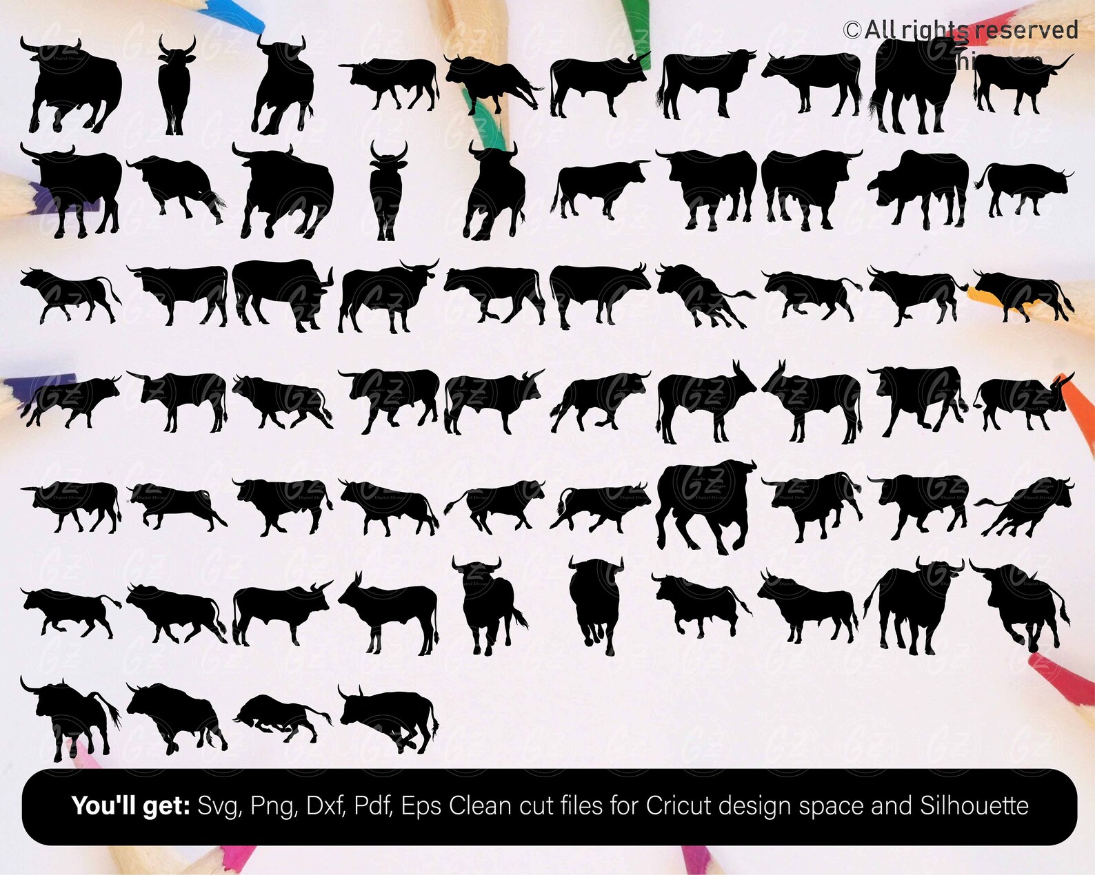 Bull SVG Bundle, Bull PNG Bundle, Bull Clipart, Bull Cut Files for ...