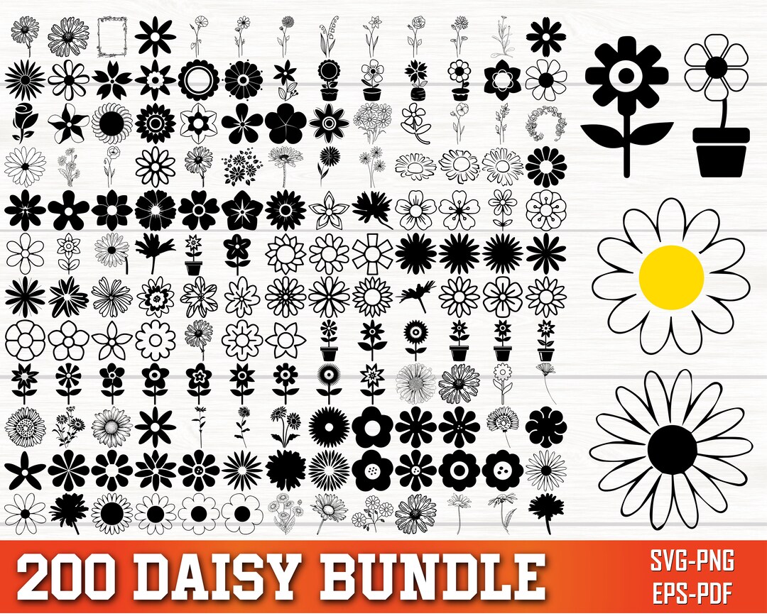 Daisy SVG Bundle, Daisy PNG Bundle, Daisy Clipart, Flower Svg, Daisy ...