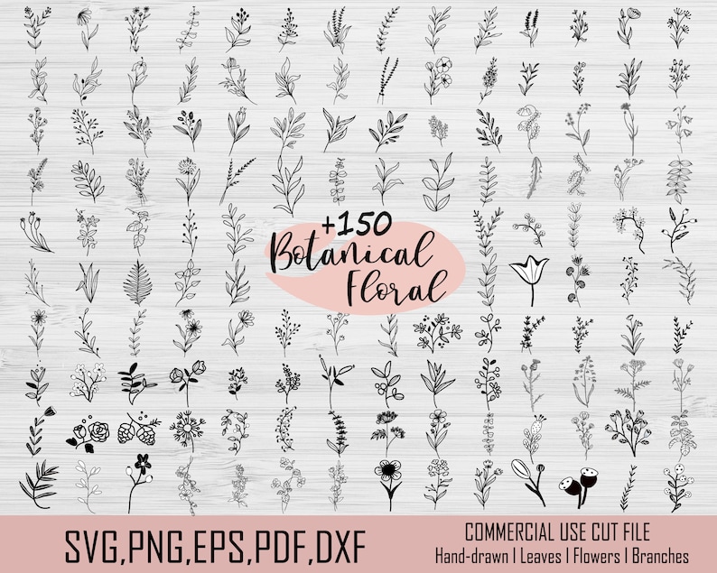 Botanical Svg Bundle Flower Svg Botanical Clipart Flower - Etsy