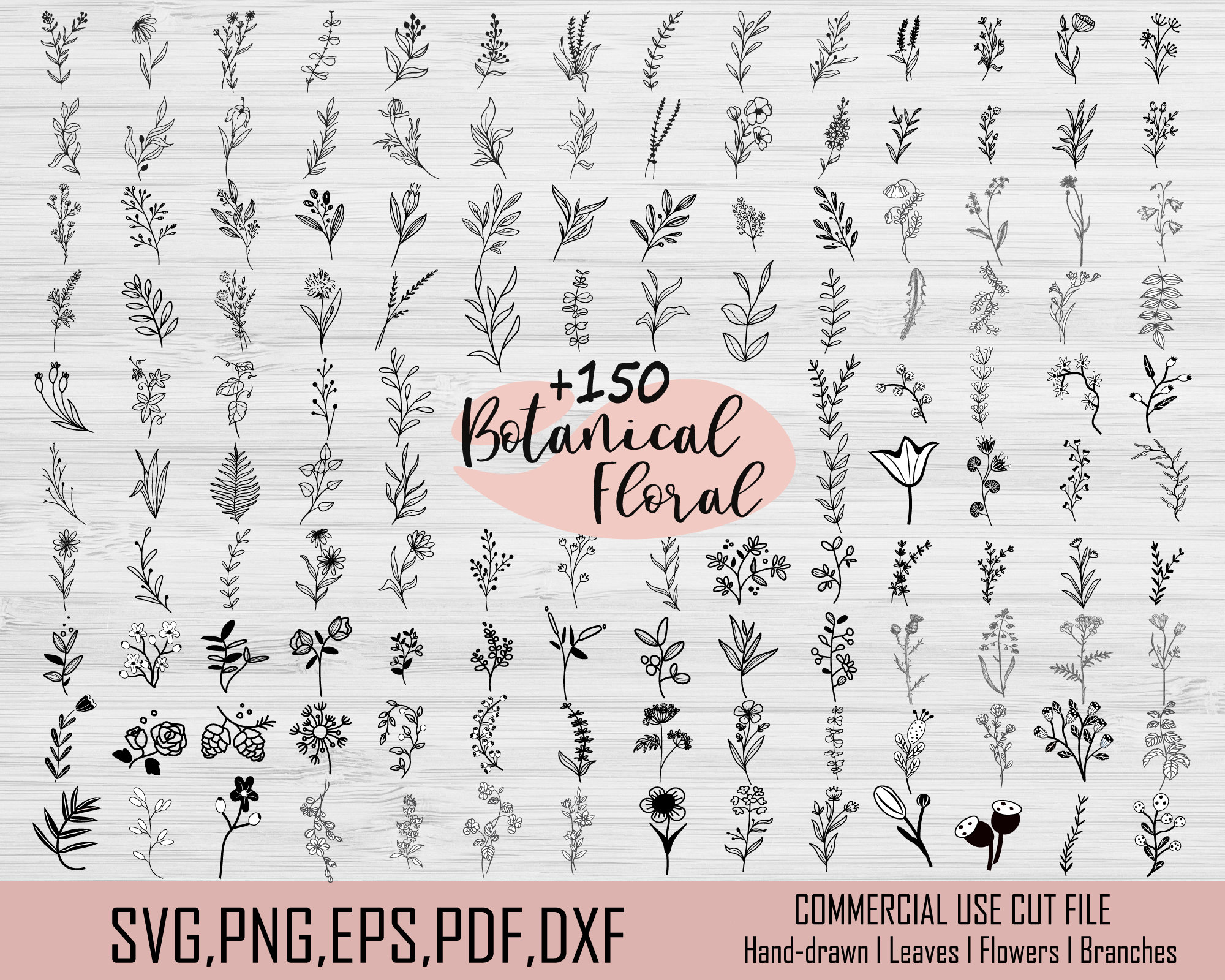 Botanical Svg Bundle | Flower Svg | Botanical Clipart | Flower Clipart ...