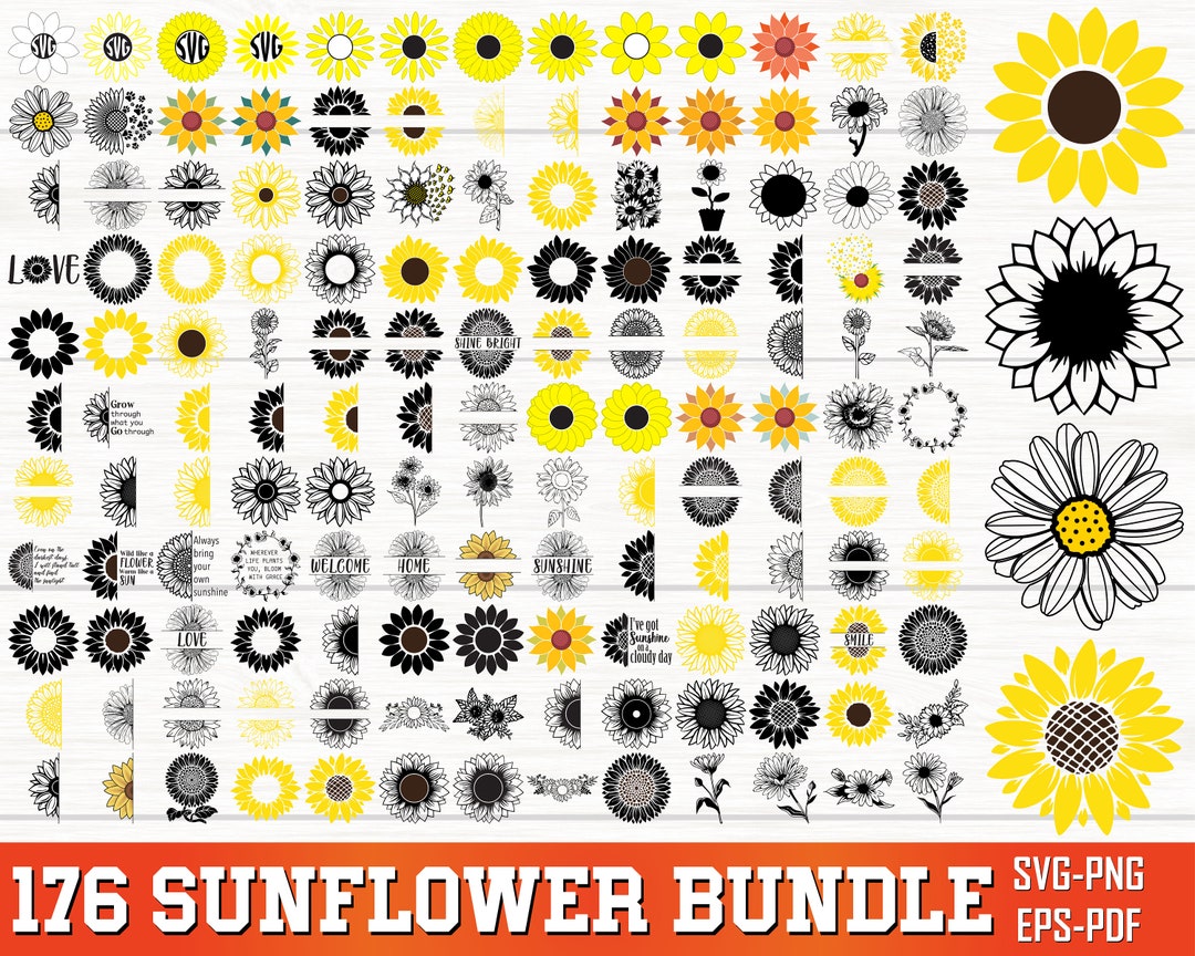 Sunflower SVG Bundle, Sunflower PNG Bundle, Sunflower Clipart ...